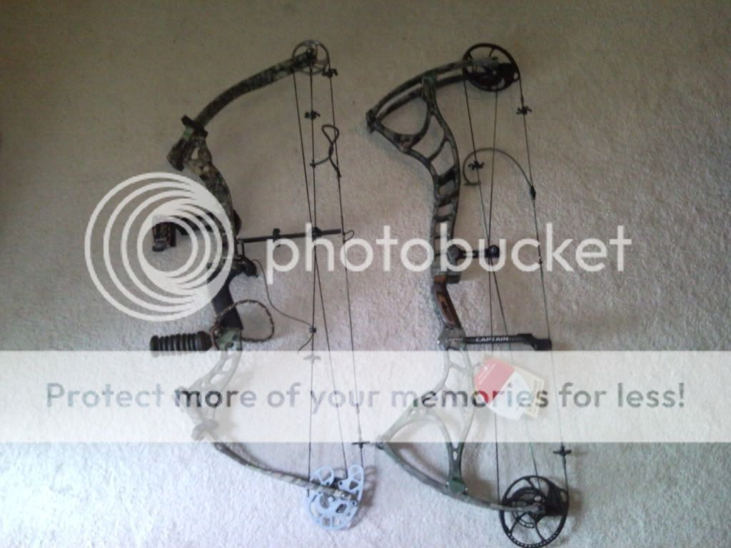Need Bowtech Tomkat Expert | Archery Talk Forum