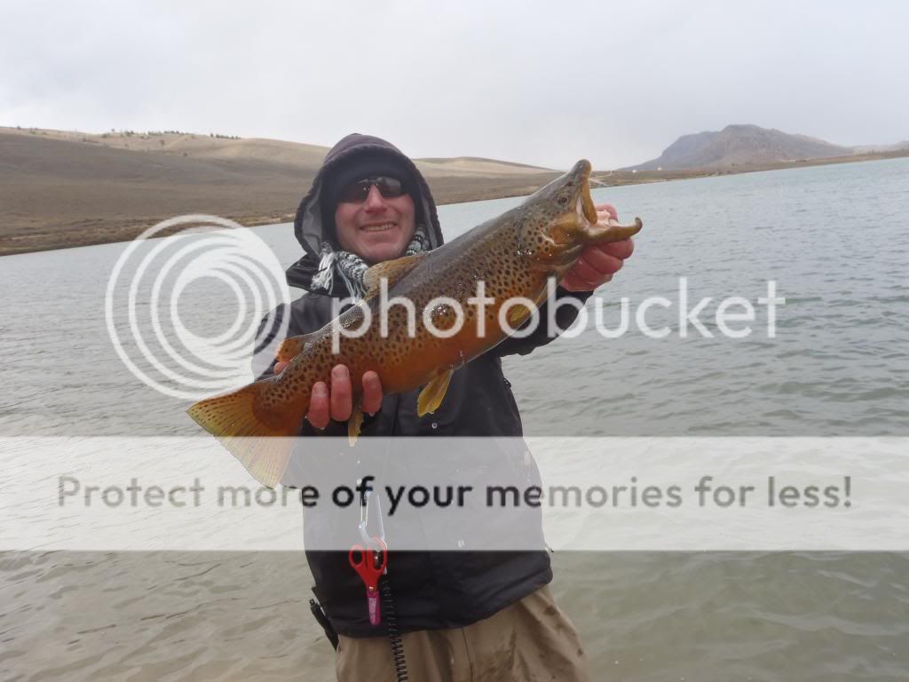 German shizer p o r n | Colorado Fisherman Forum