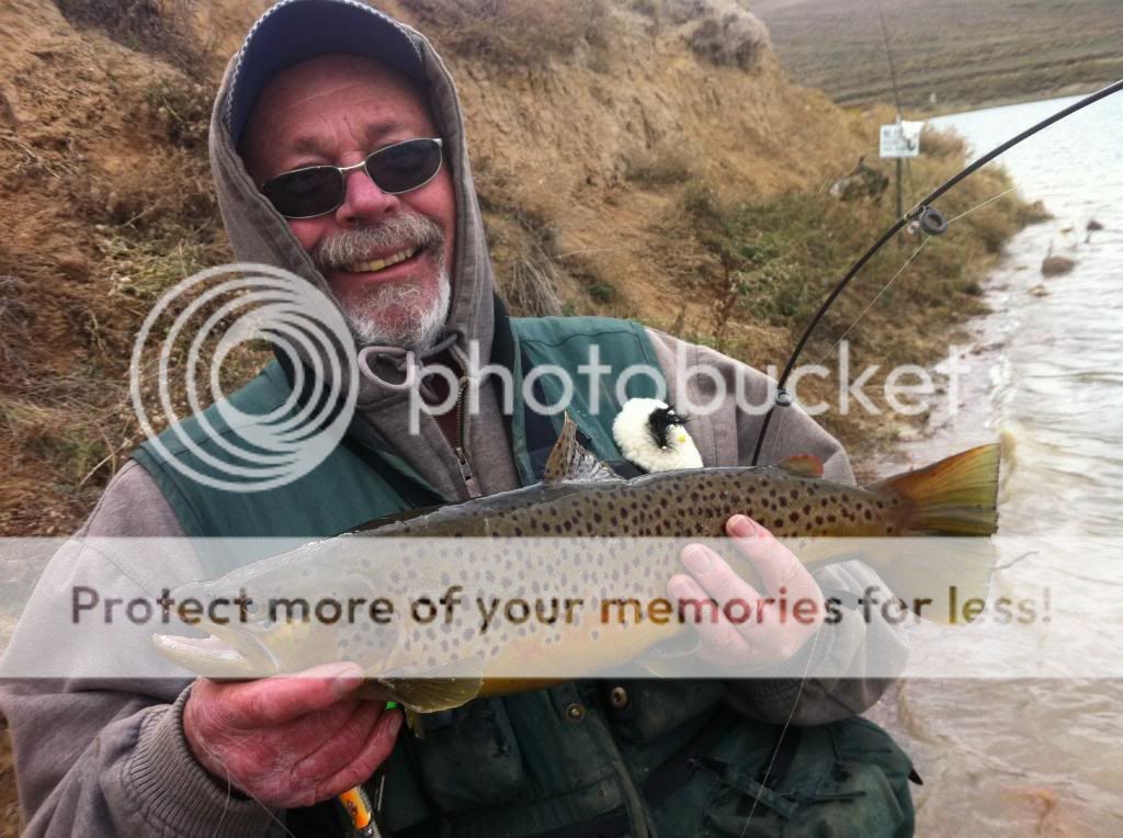 German shizer p o r n | Colorado Fisherman Forum