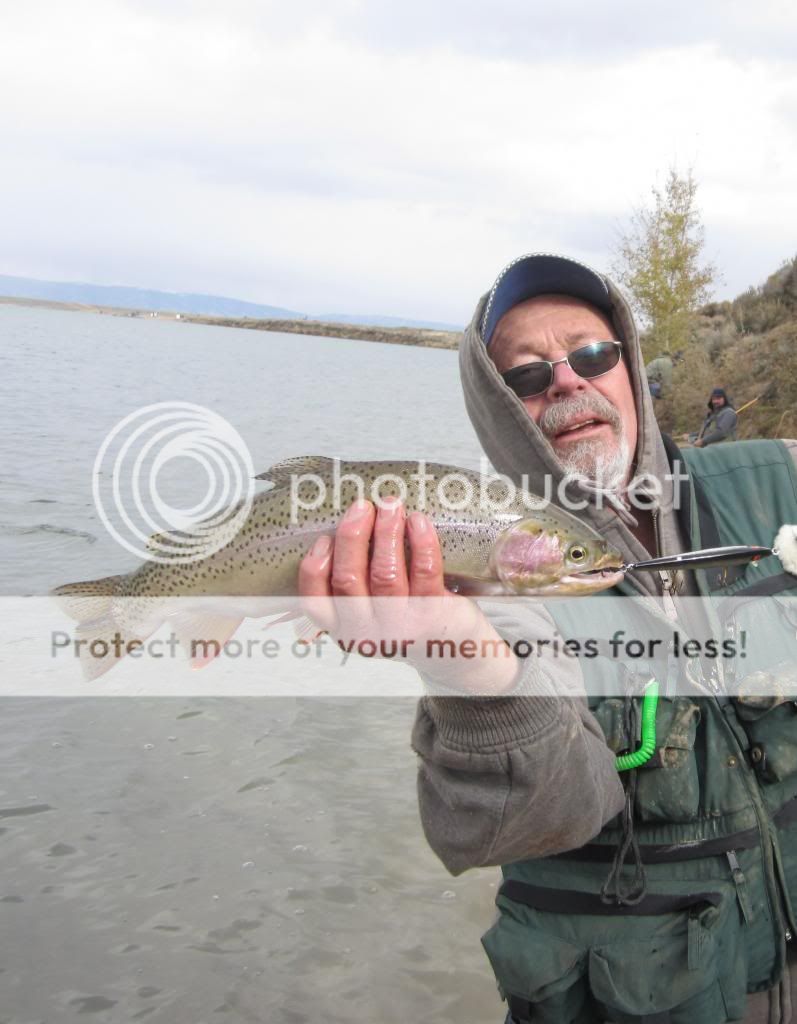 German shizer p o r n | Colorado Fisherman Forum