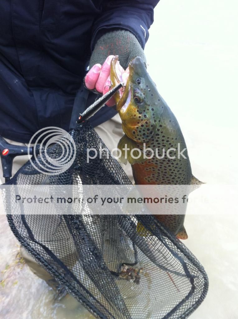 German shizer p o r n | Colorado Fisherman Forum