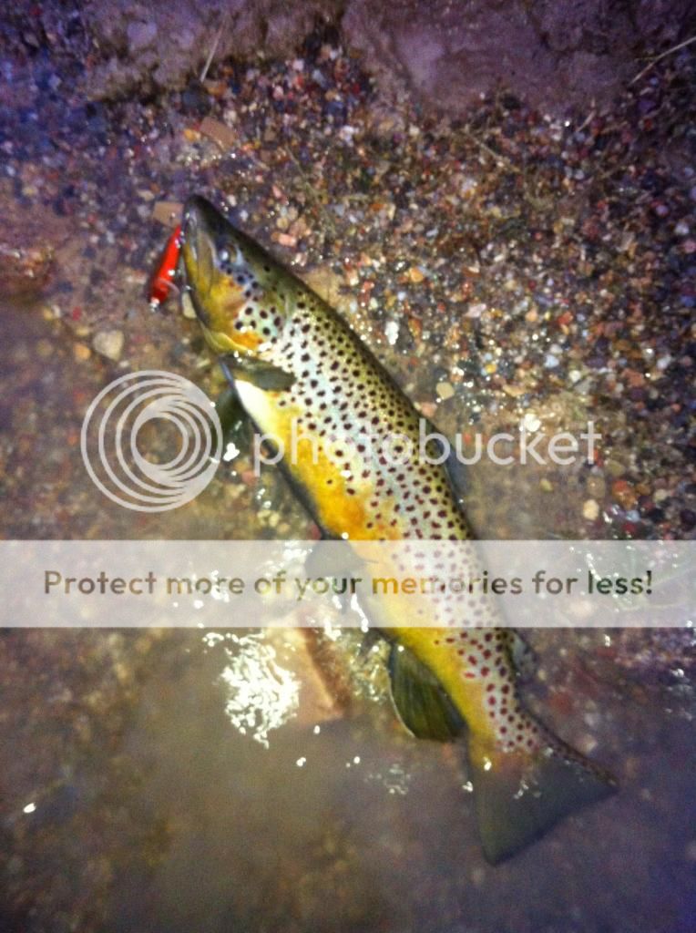 German shizer p o r n | Colorado Fisherman Forum